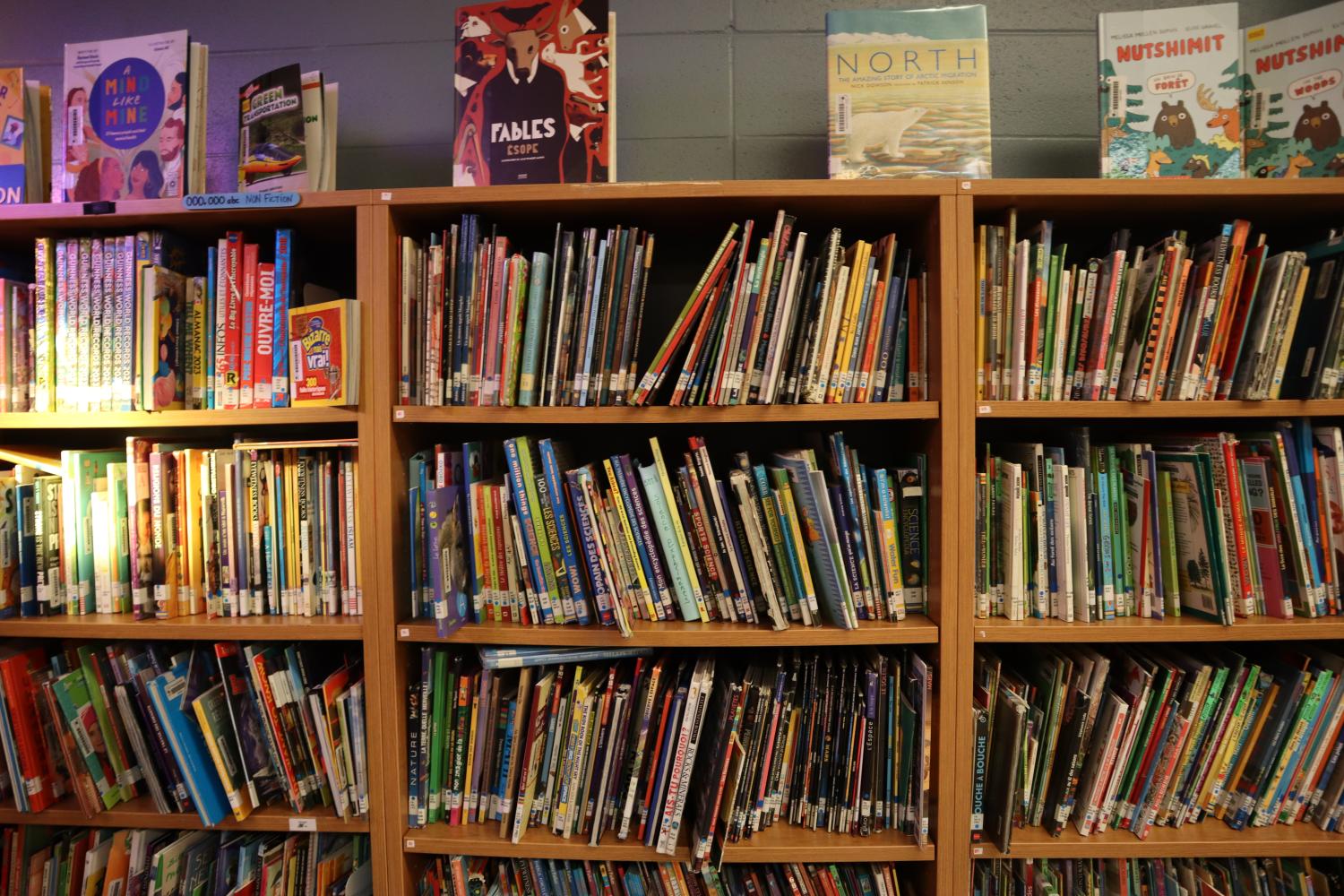 Library - Birchwood Elementary School